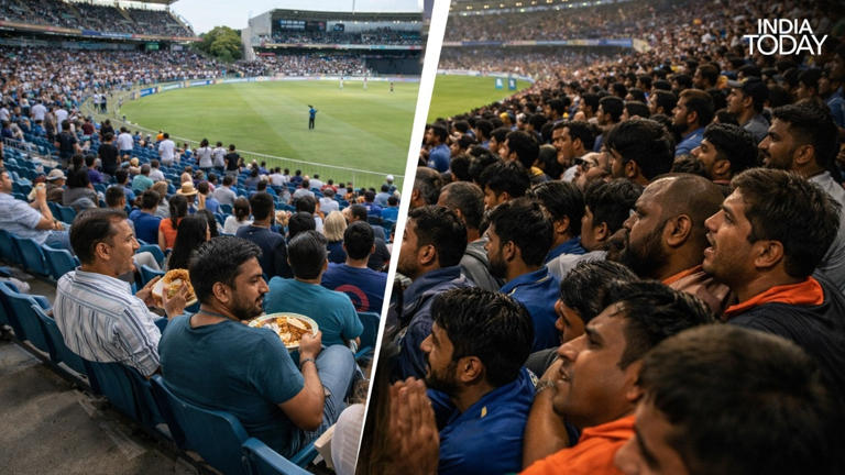 Queues, cages and chaos: Cricketing superpower India must treat its fan ...