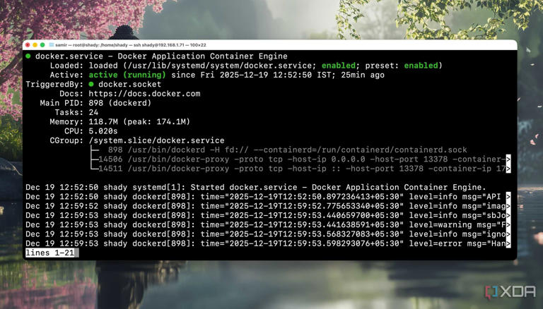 Docker Desktop is convenient, but native containers taught me how ...