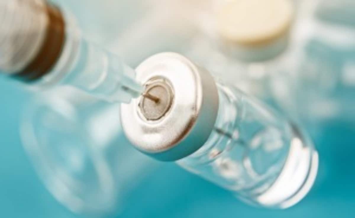 Fake rabies vaccine advisory explained: What Australia warned, what ...