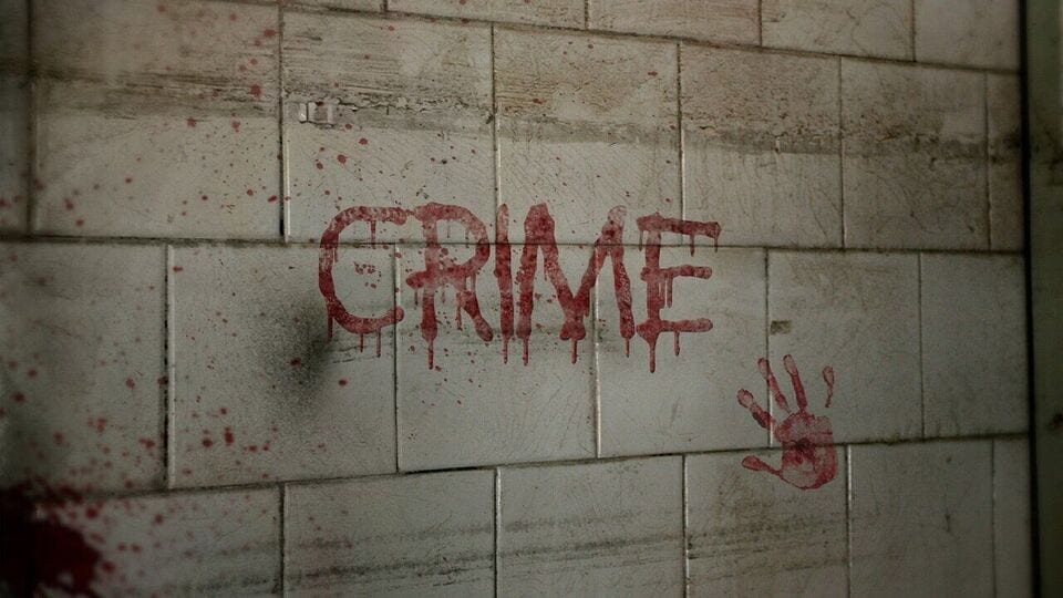 Shocking details emerge in Udaipur rape case involving CEO—injuries on ...