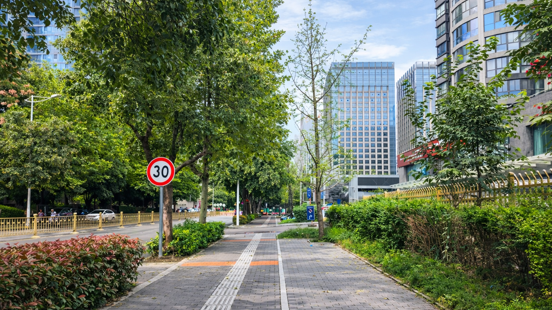 A quiet walk through urban nature in China