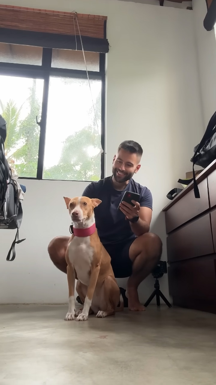 Discovering how street dogs in Sri Lanka really communicate