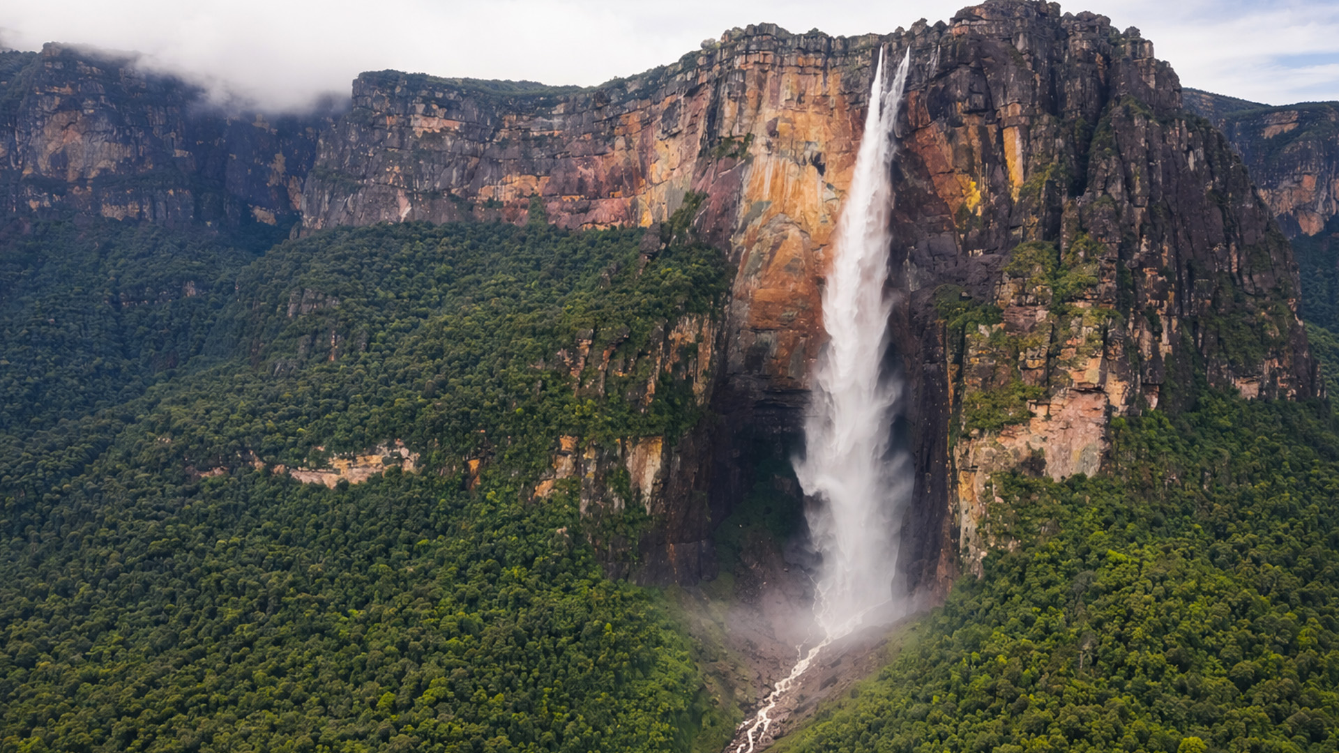 Falling from the clouds into the jungle