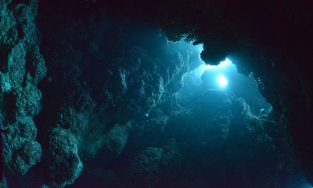 Scientists stunned by discovery in one of deepest parts of ocean ...