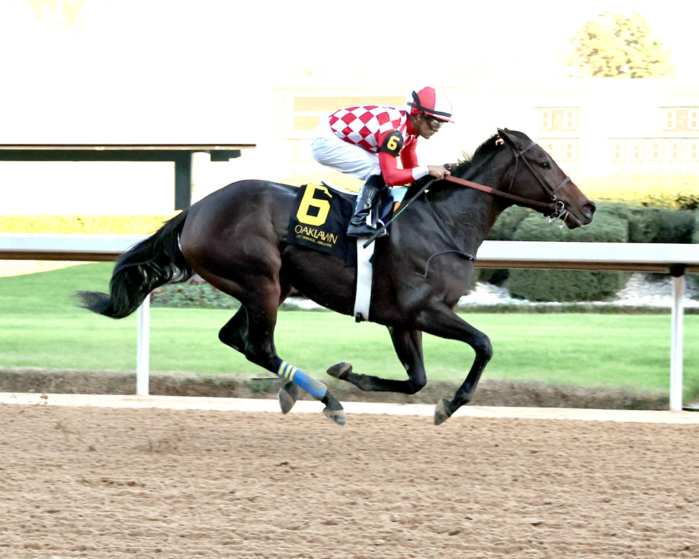 Pippin Victory Gives Standoutsensation Back-To-Back Stakes Scores