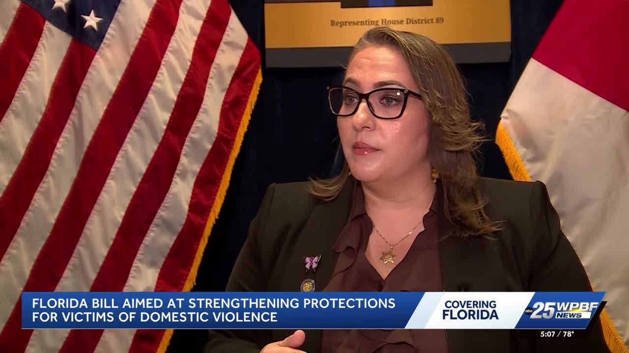 State Rep. Debra Tendrich files a domestic violence reform bill