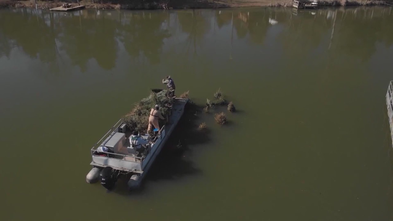 Used Christmas trees needed in Arkansas