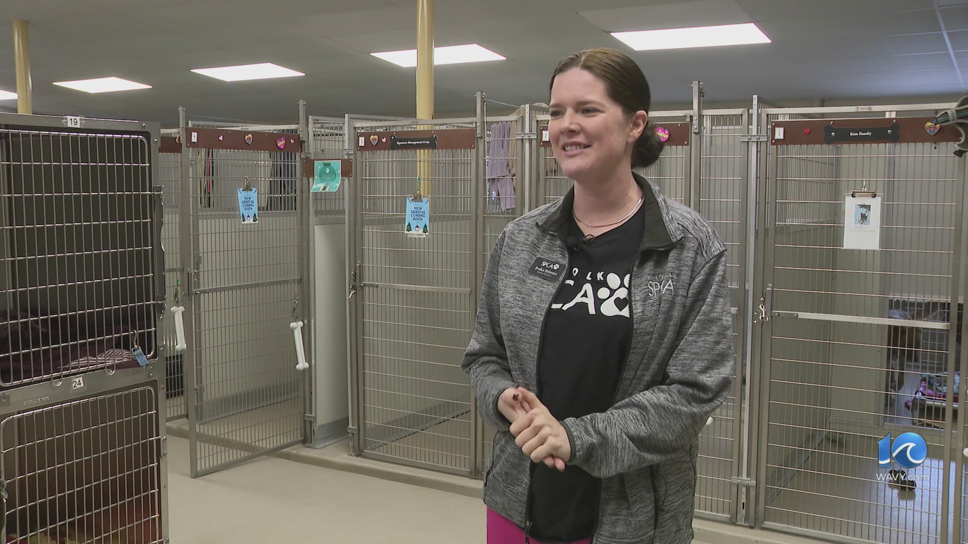 Norfolk SPCA gets a 'silent night' at kennels