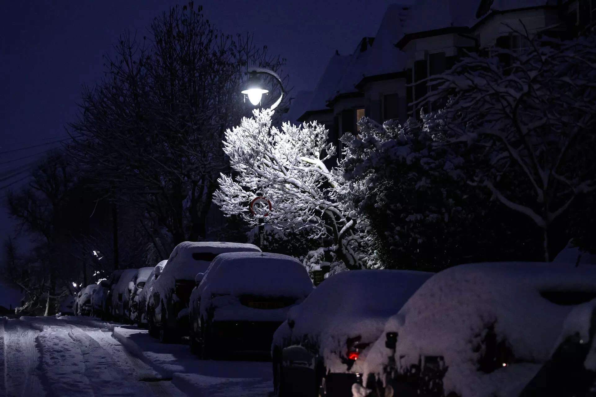 Freezing rain knocks out power across London, Ontario: Trees down, icy ...