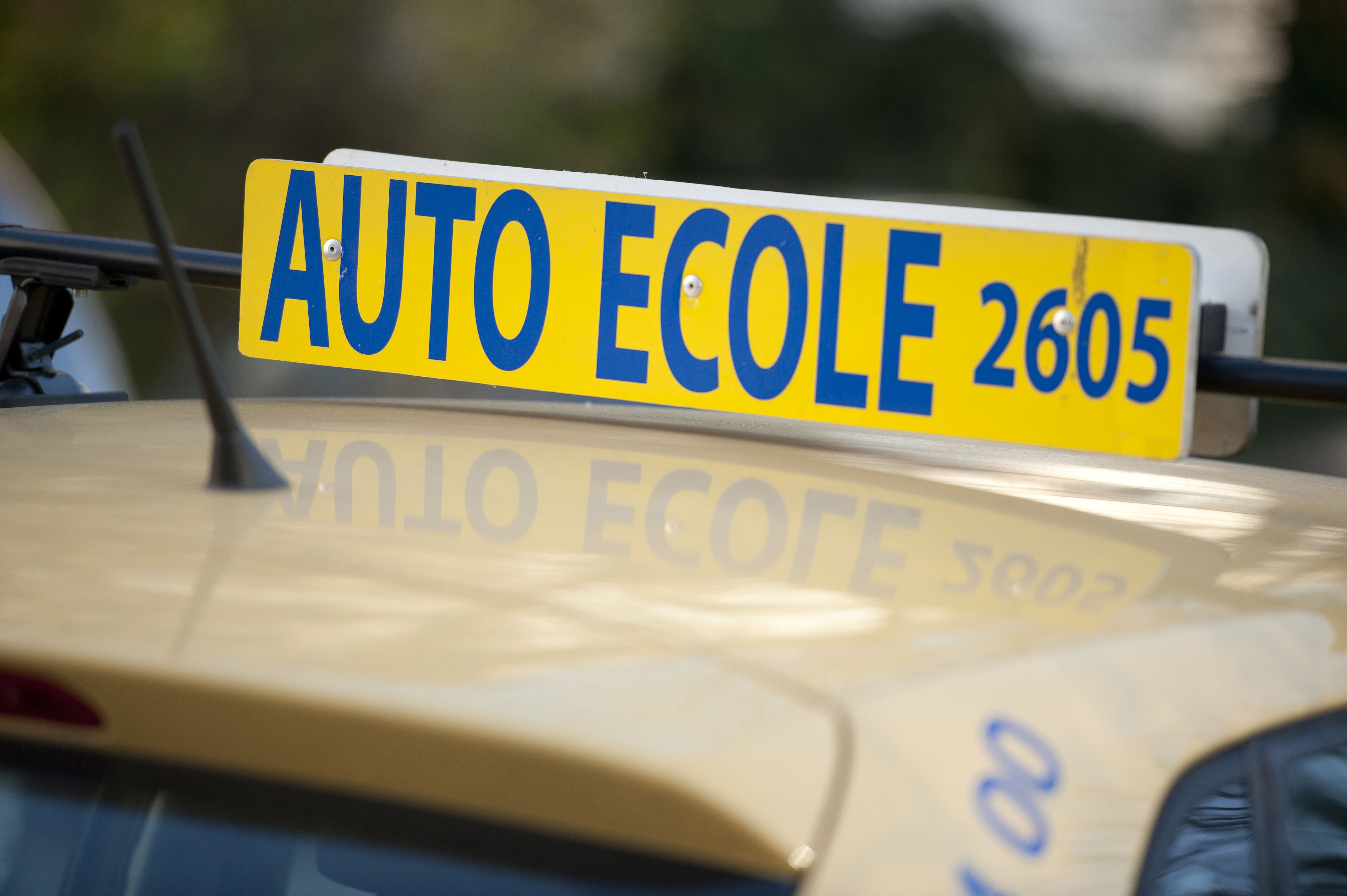 Nouveau le 1er janvier - Permis de conduire en Wallonie : tout le ...