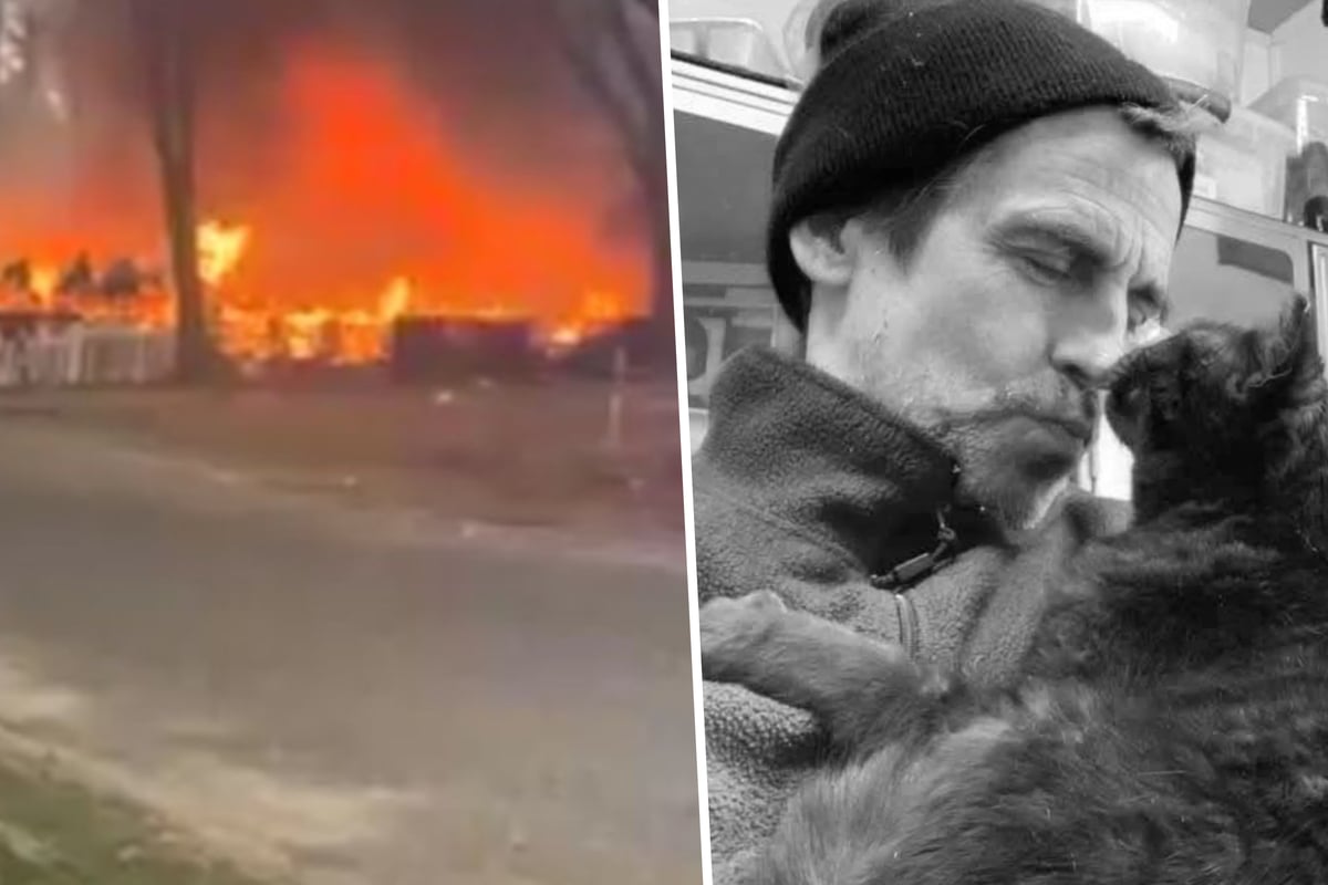 Cat shelter owner dies in heroic attempt to save 300 rescues from ...