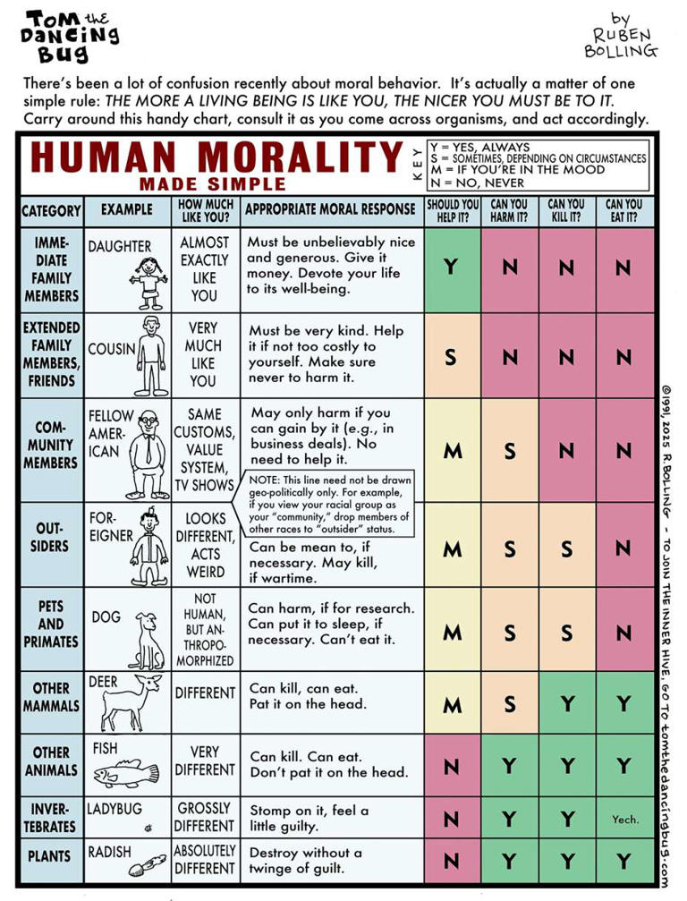 Tom the Dancing Bug: Human morality made simple