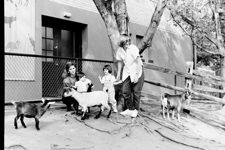 2026 marks 100 years of the Cheyenne Mountain Zoo