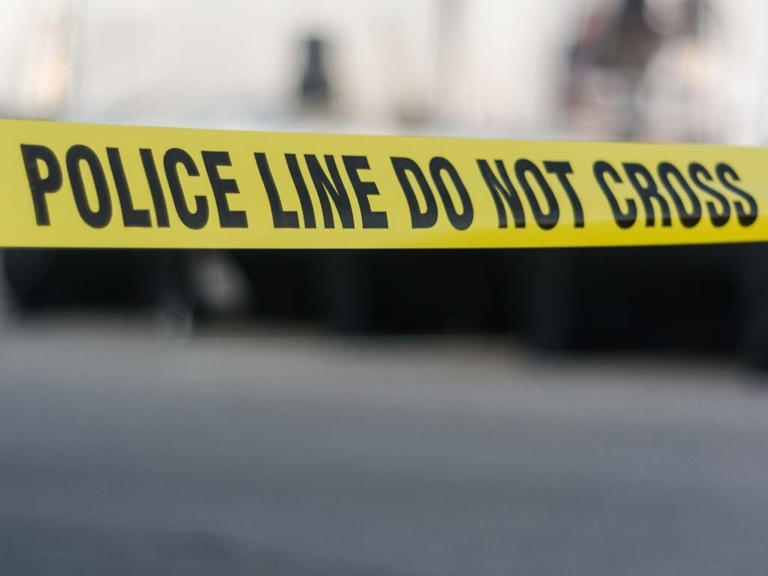 3-year-old fatally shot | Driver returns to body in median | Road rage ...