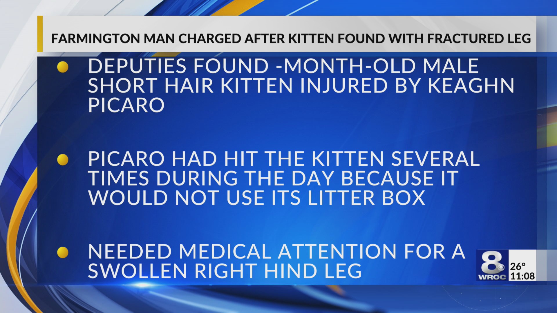 Farmington man charged after kitten found with fractured leg