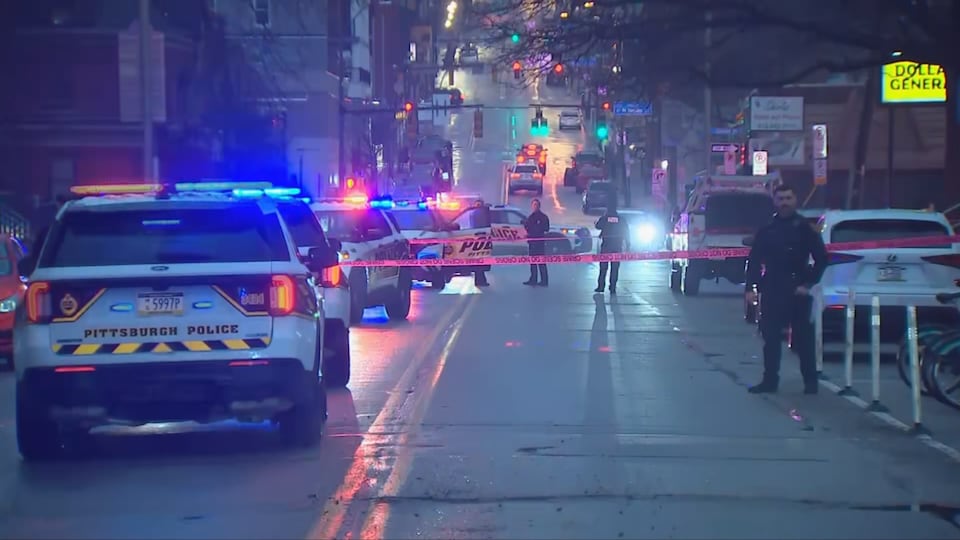 Man surrenders after shooting at woman & her dog, officers return fire ...