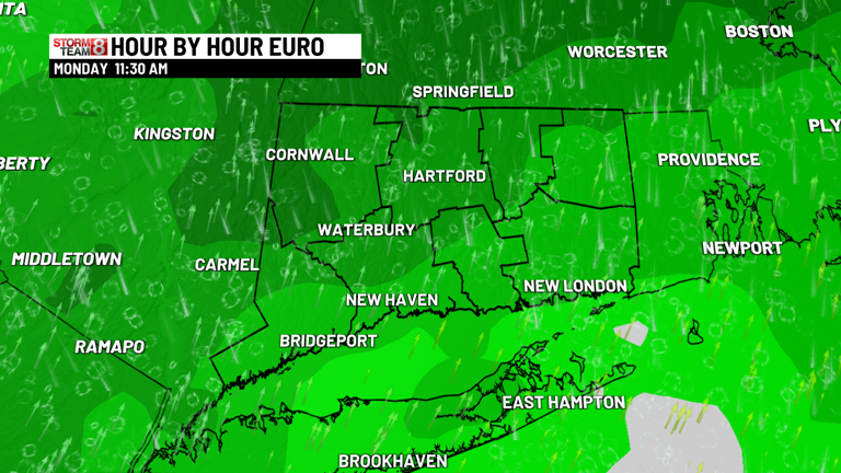 The snow is over! Let the cleanup begin...