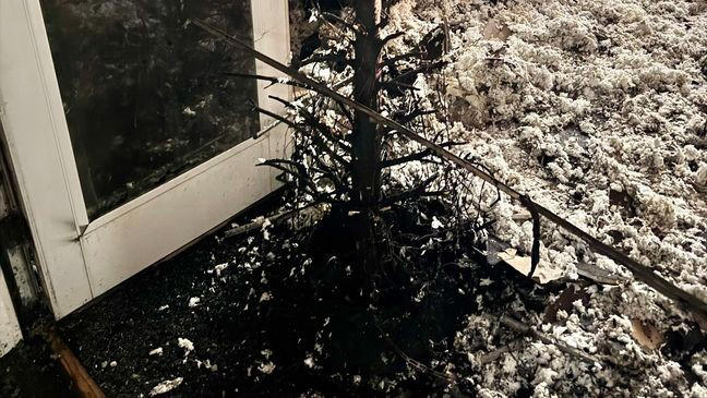 Dry tree, old lights contribute to fire that engulfed Bethesda home on ...