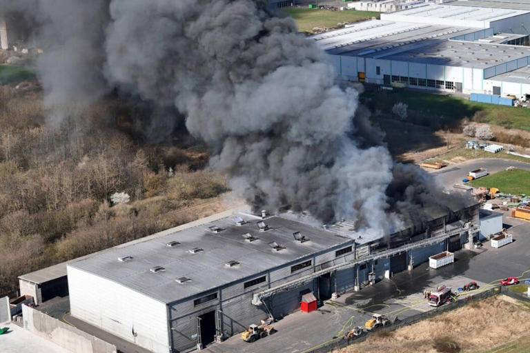 Über 100 Feuerwehrleute im Einsatz: Millionenschaden nach Brand in ...