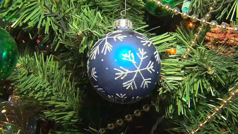 Local week in review (12/27/25)