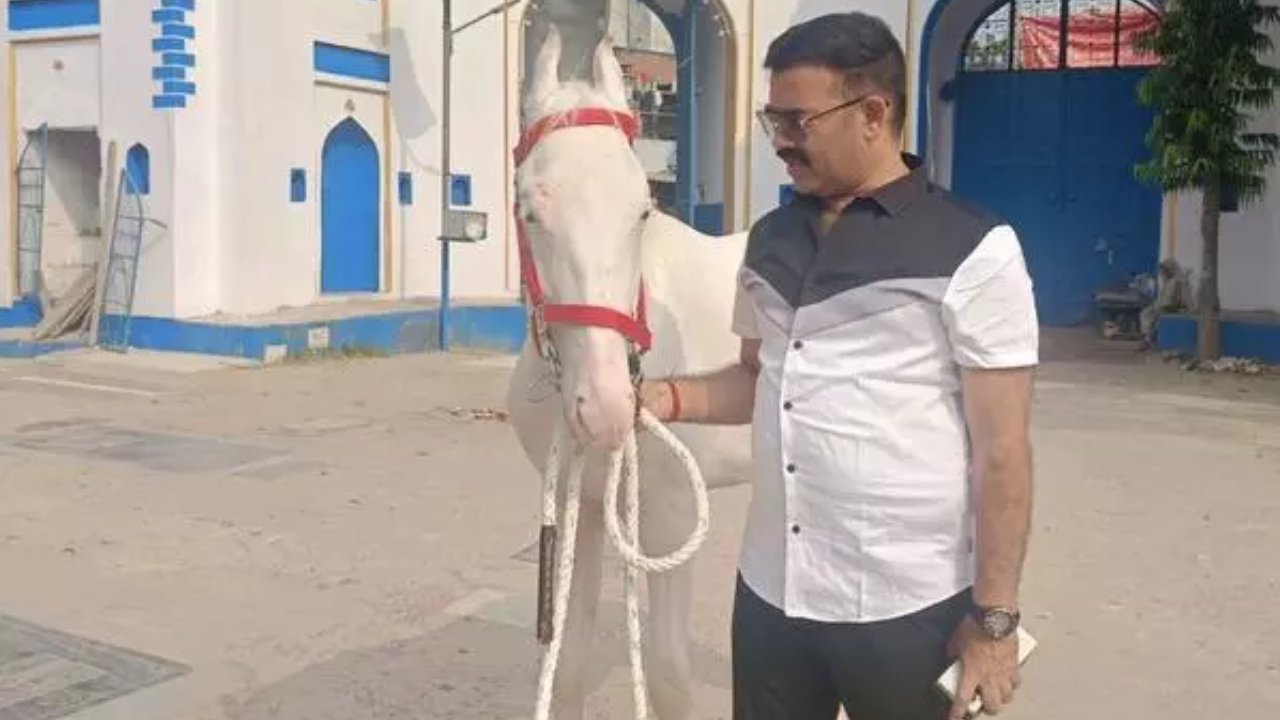 Got any whiff of my child? After Muharram’s Duldul horse stolen ...