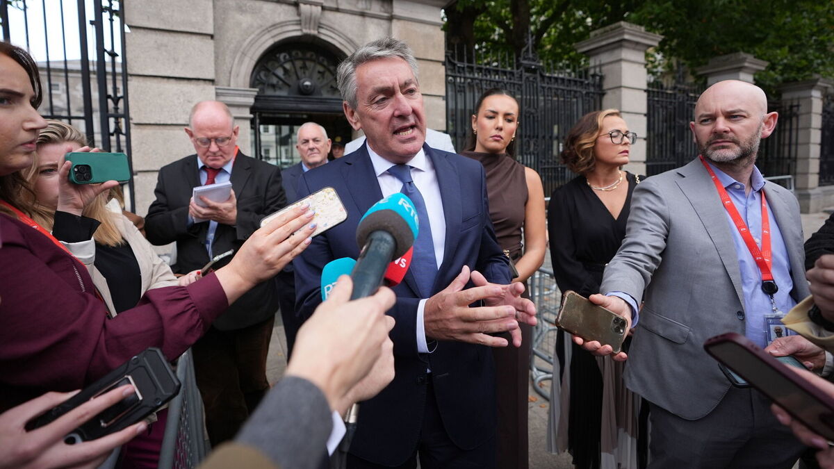 Cork MEP Billy Kelleher says he would have won presidency as Fianna ...