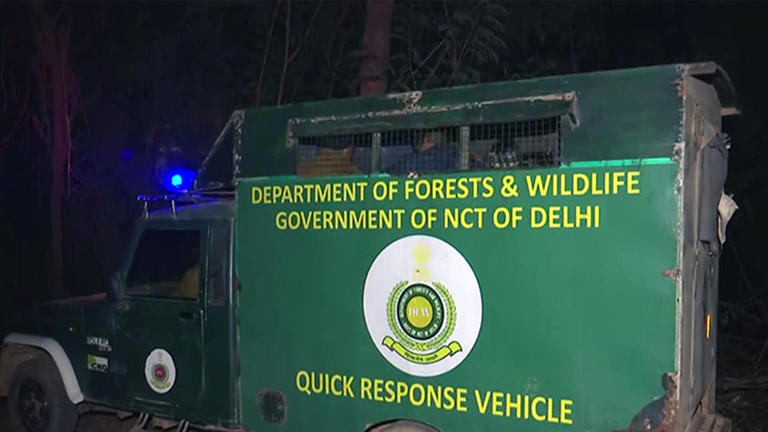 Delhi officials trained on tree preservation SOPs for public safety
