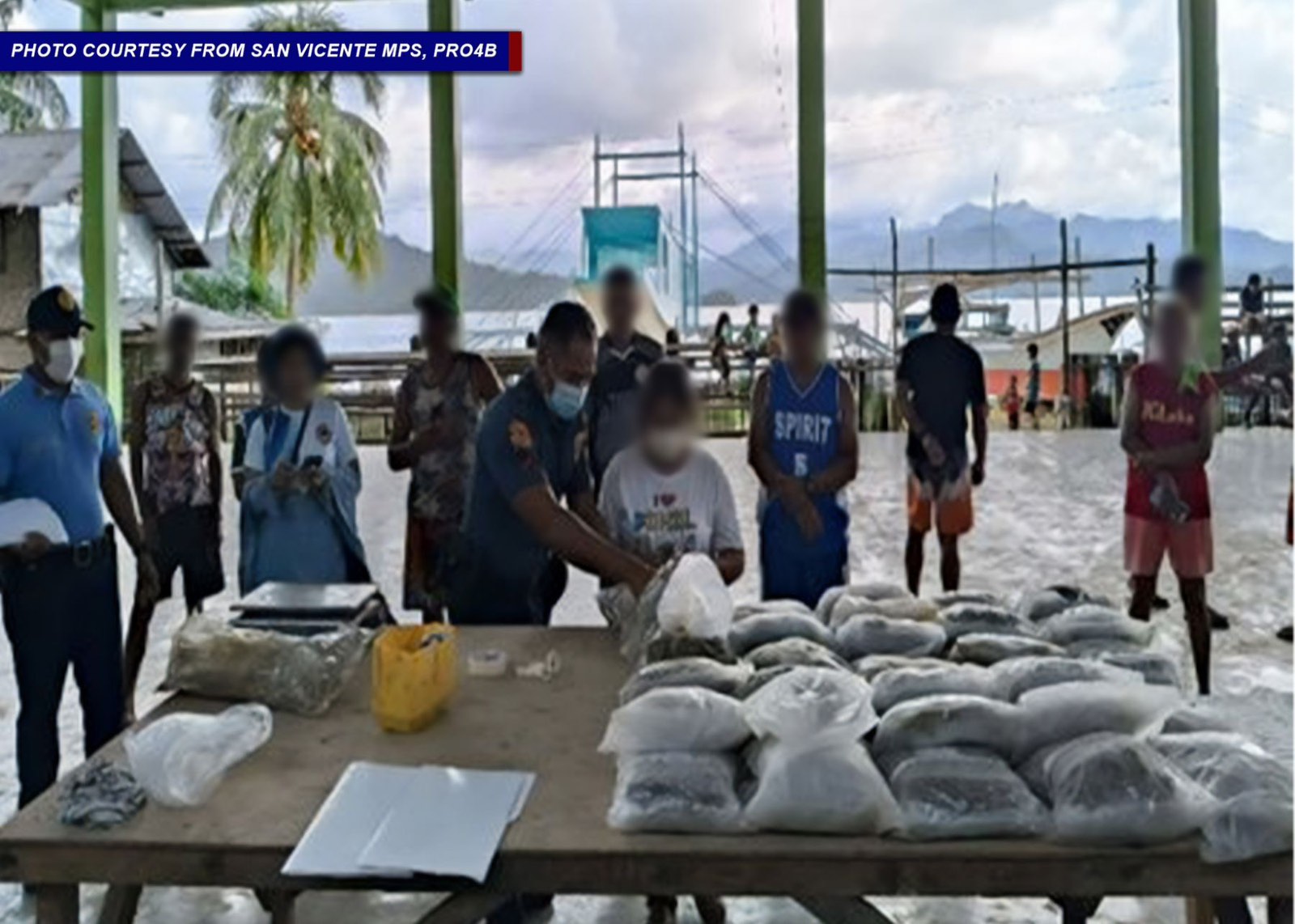PNP seizes suspected marijuana worth P26-M off Palawan