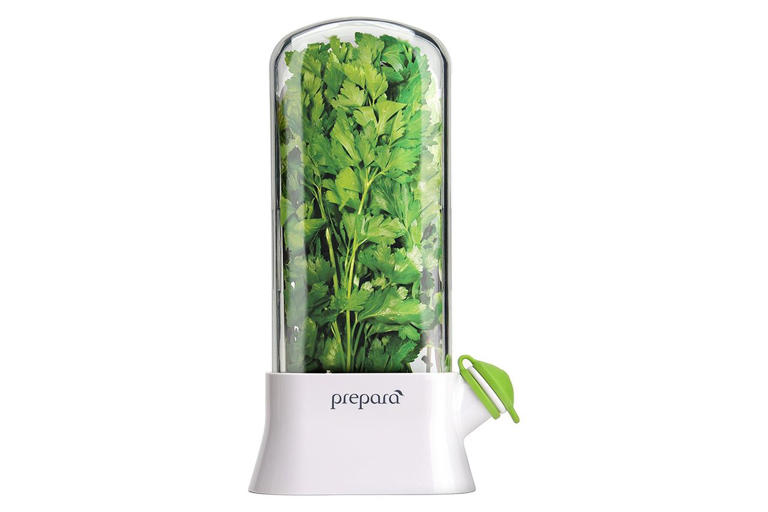 Goodbye, slimy cilantro: This clever gadget keeps herbs fresh for weeks