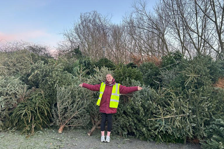 Teessiders urged to join Christmas tree recycling scheme and raise ...