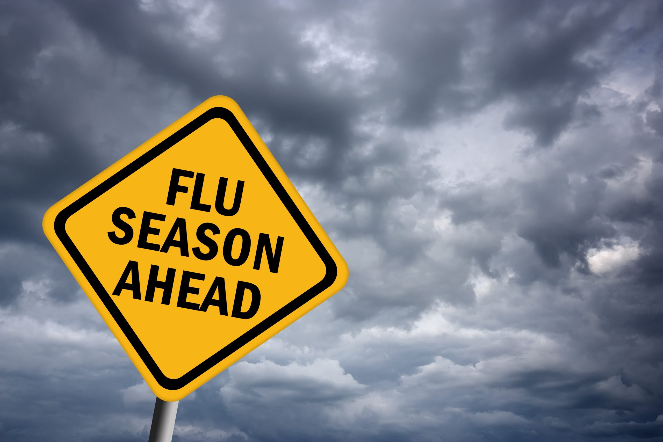 Institut Pasteur warns influenza risks persist as global flu season ...