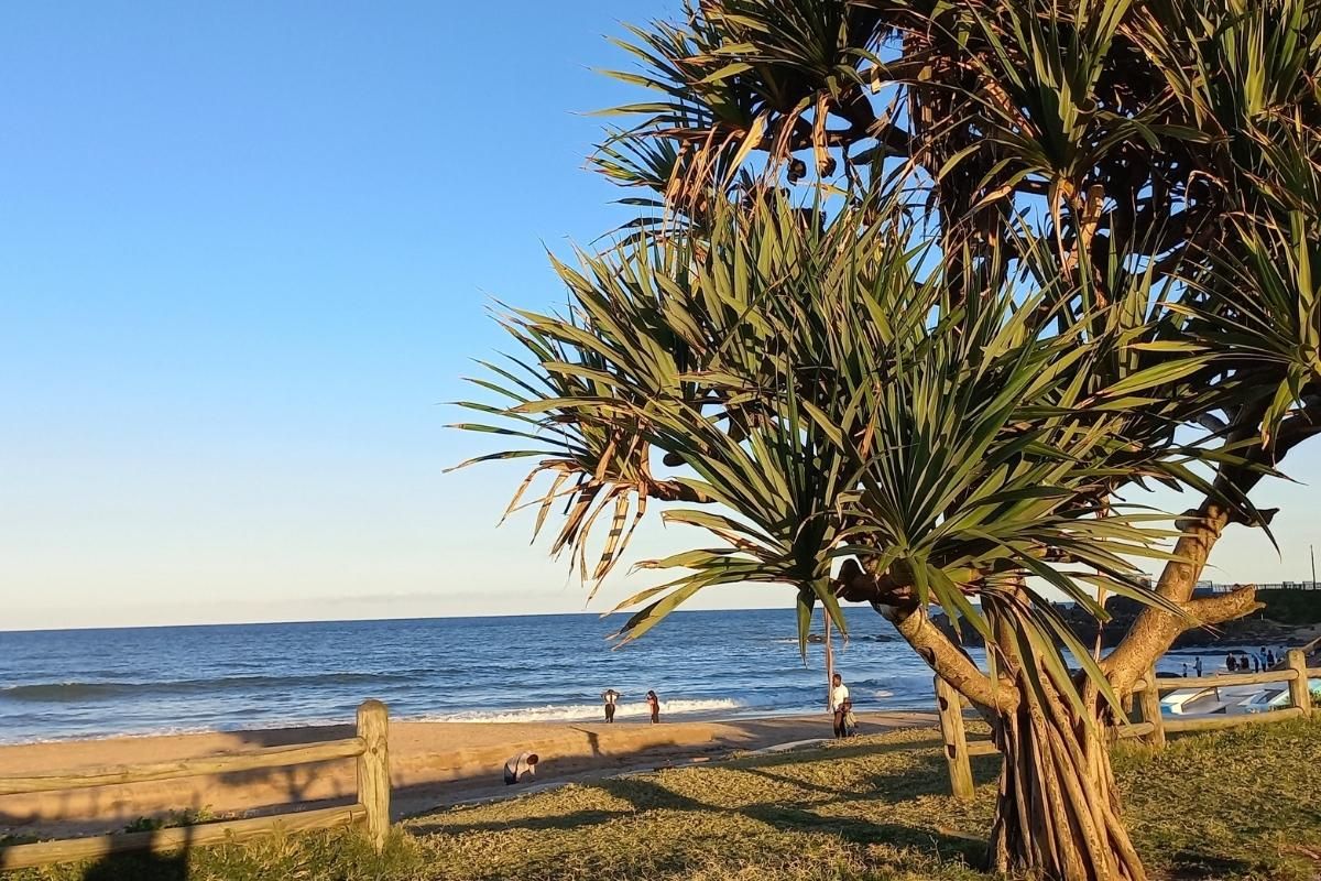 Three beaches in Durban closed: Here’s where and why