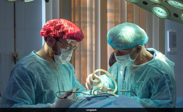 Pig organ transplants may one day outperform human donors, says leading ...