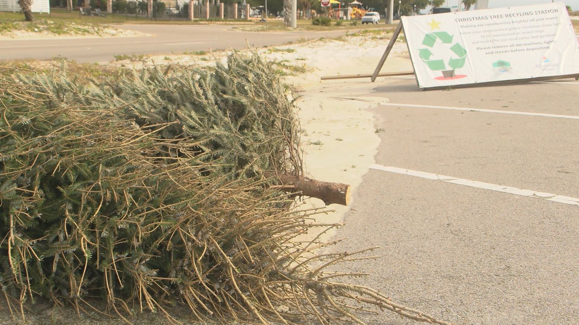 Christmas tree recycling programs return to South Mississippi