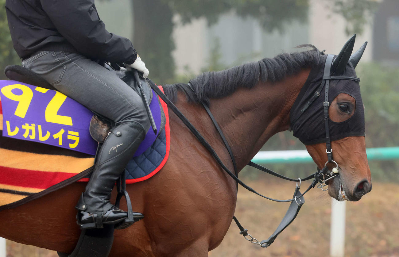 【有馬記念・前日情報】ファン投票歴代最多得票のレガレイラは軽快にウッドを半周「重い責任」