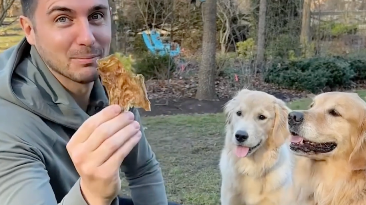 This was completely predictable