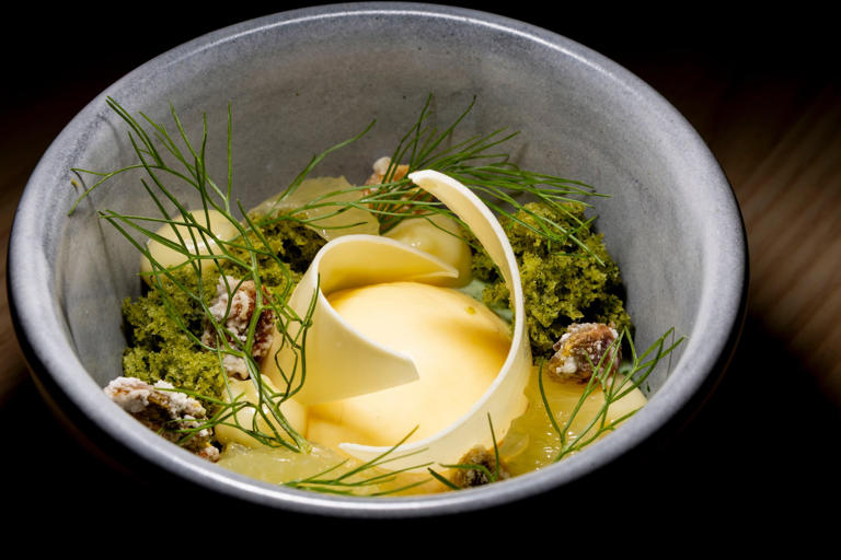 See the Ann Arbor News’ 2025 year in pictures