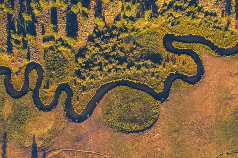After a century away, Chinook salmon make a historic return to California