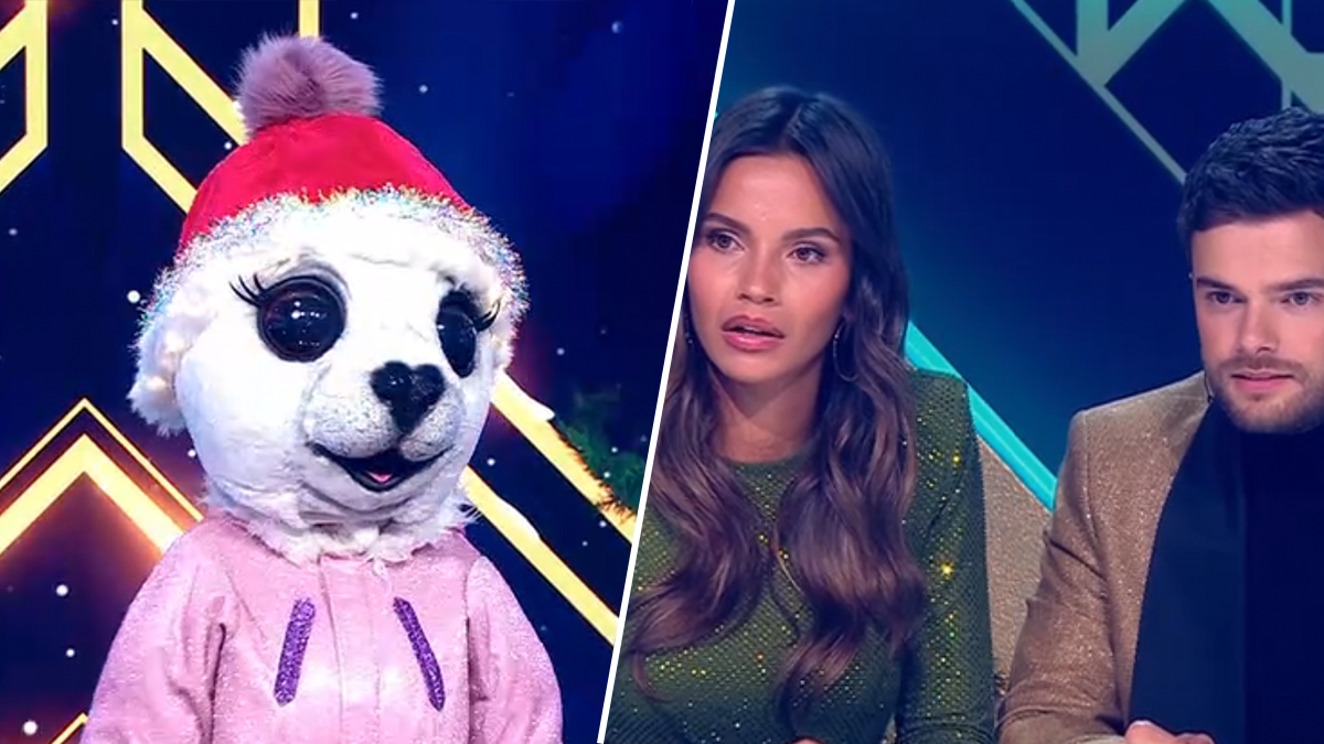 Juryleden door het dolle heen na raden de Zeehond in The Masked Singer ...