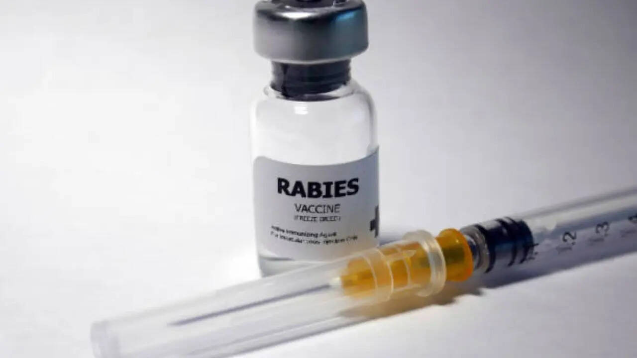Fake rabies vaccine used in India? Australia makes shocking claim ...