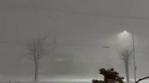 Japan: Blizzard warning issued as severe winter weather grips Hokkaido 3