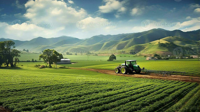 Odisha to receive ₹155 cr incentive from Centre for digital crop survey ...