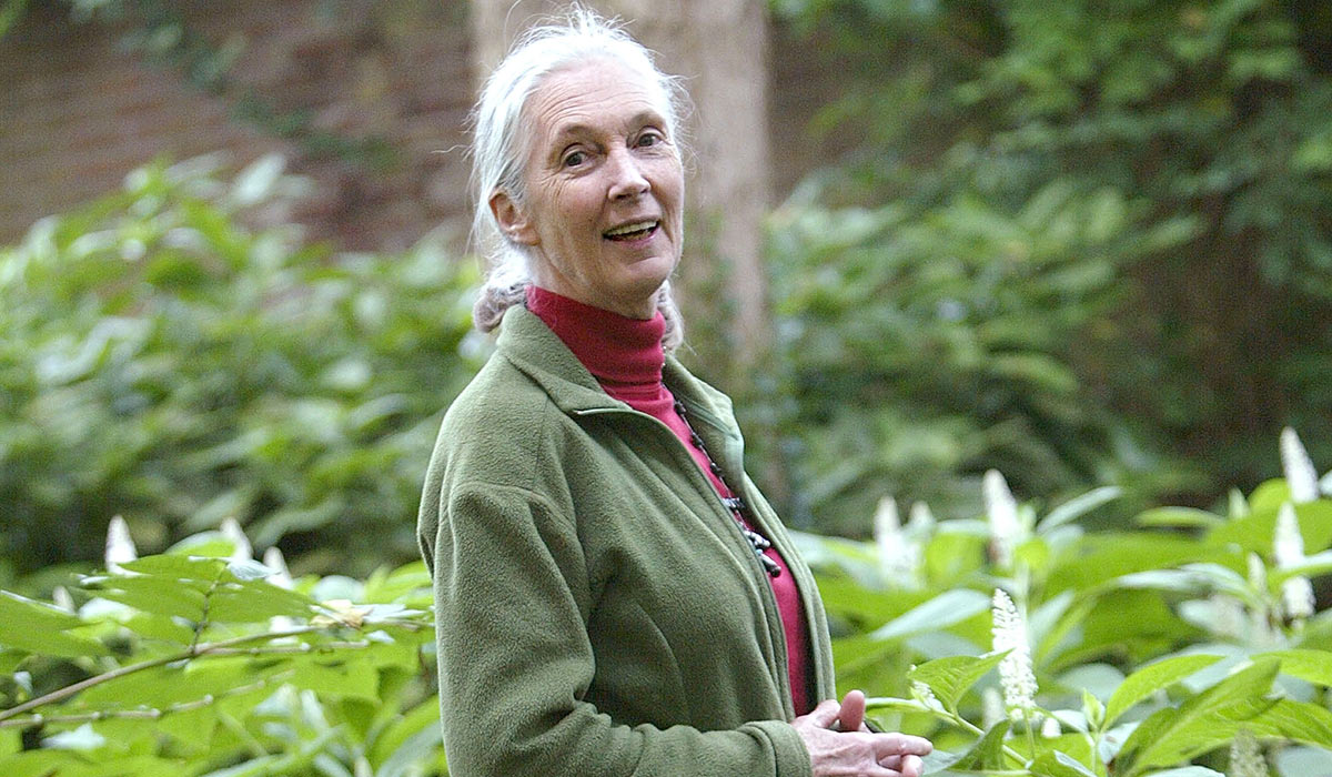 A look back at the famous faces we said goodbye to in 2025