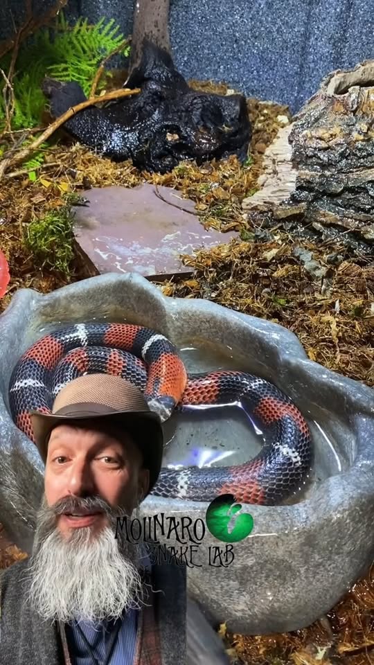 This snake had me seriously nervous 😬🐍