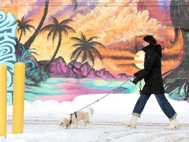 Edmonton weather: Blowing snow alert, wind chill -30, wild swing to 4 C ...