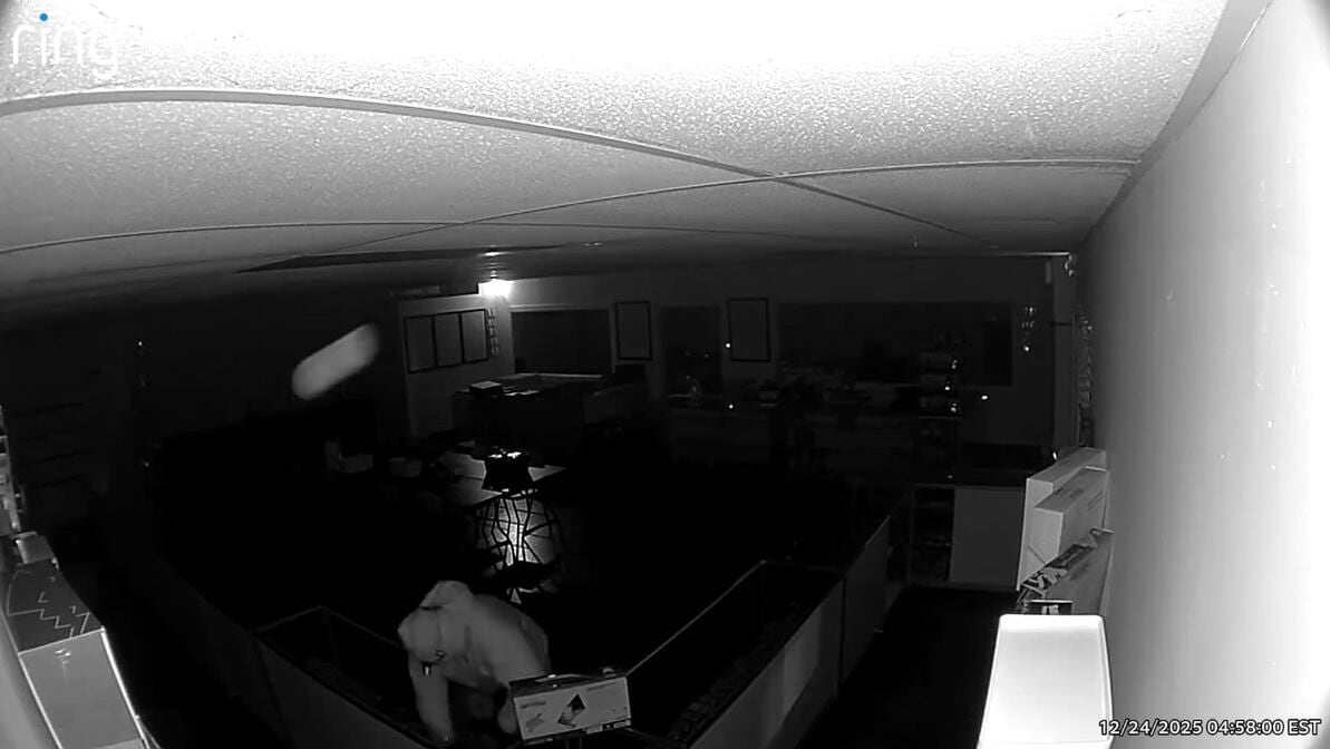 Suspect steals over 100K worth of items from Carrollton trading card ...