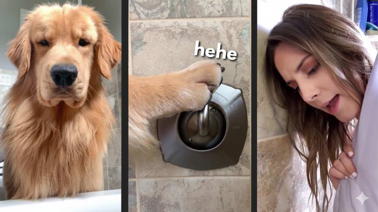 My dog learned how to manipulate me