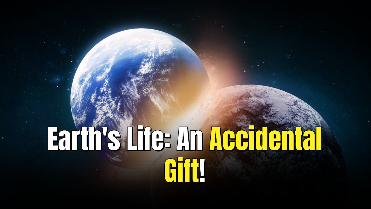 How a planetary crash with Theia brought water and life to Earth