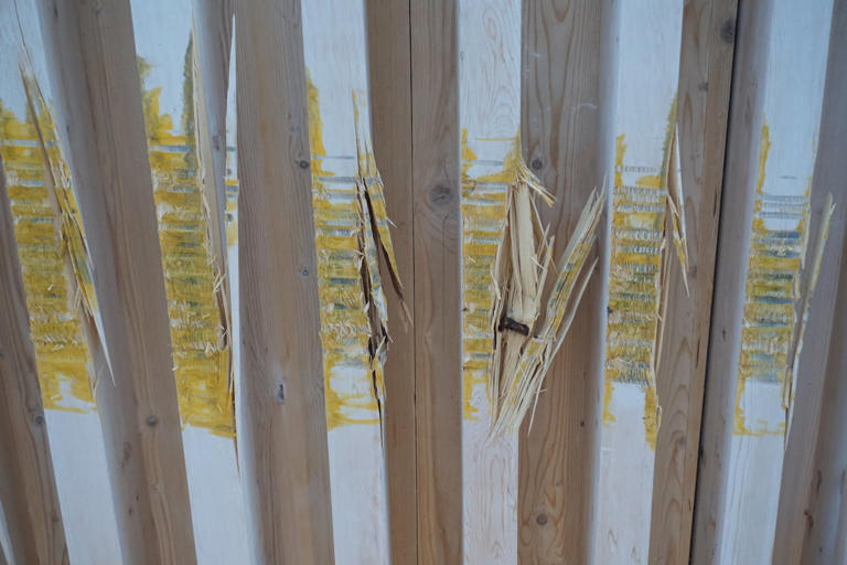 School bus to blame for Kìwekì Point damage, says NCC