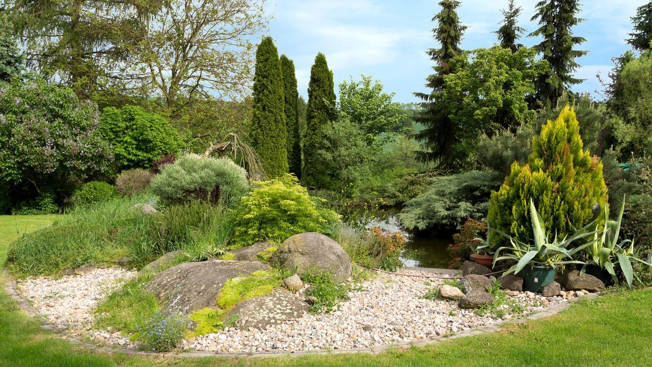 Discover 7 Fast-Growing Conifers Give You Low-Maintenance Privacy Fast